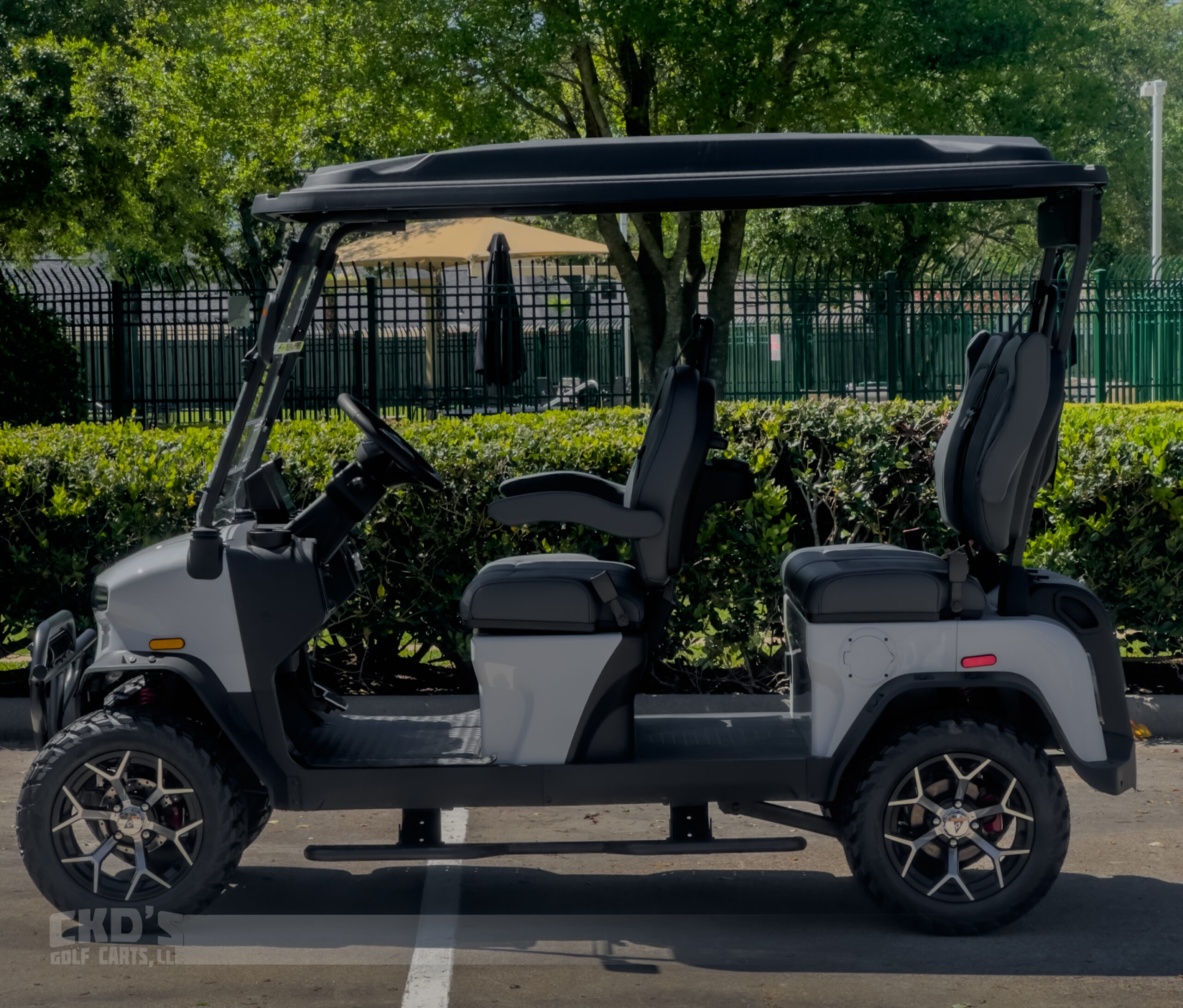 2025 Denago Rover XL 4-Forward Passenger Lithium Powered Golf Cart ...