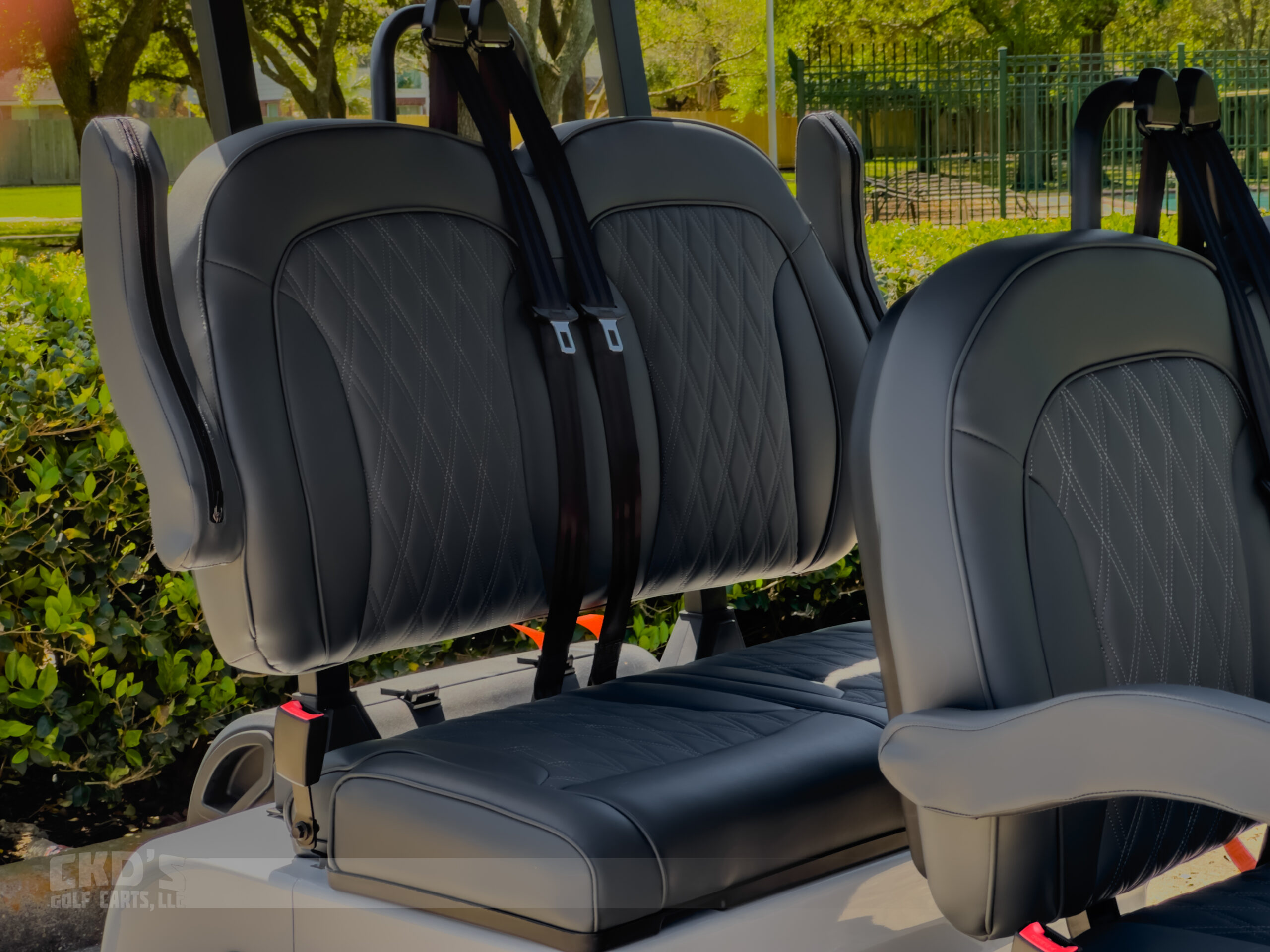 2025 Denago Rover XL 4-Forward Passenger Lithium Powered Golf Cart ...